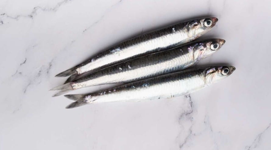 Filets d'anchois confits à l'huile d'olive - Rezumar | Nouvelle Vague ...